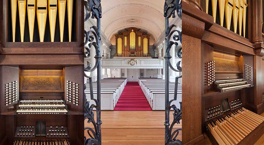 Organ
